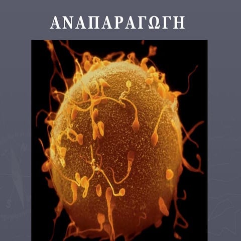 Αναπαραγωγή-εισαγωγή, βιολογία β γυμνασίου | PPTX
