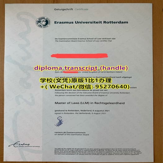 Erasmus University Rotterdam degree offer diploma Transcript | PPTX