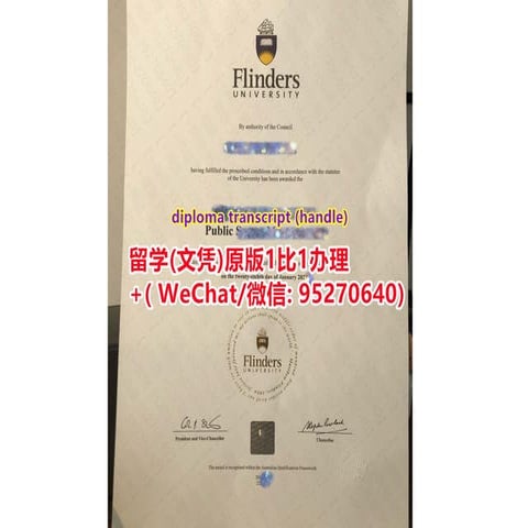 Flinders University degree offer diploma Transcript | PPT