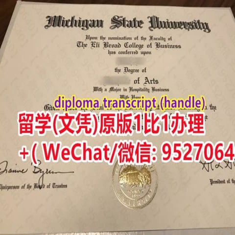 Michigan State University degree offer diploma Transcript | PPT