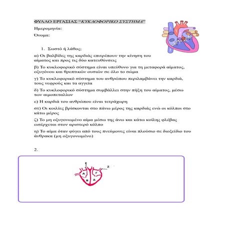 ΦΥΛΛΟ ΕΡΓΑΣΙΑΣ ΚΥΚΛΟΦΟΡΙΚΟ ΣΥΣΤΗΜΑ.pdf/ ΤΟ ΚΥΚΛΟΦΟΡΙΚΟ ΣΥΣΤΗΜΑ ΤΟΥ ...