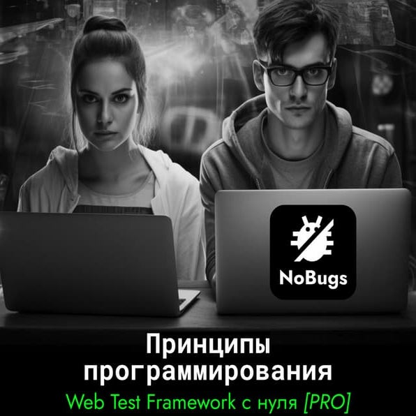 Принципы программирования [NoBugs WTF PRO уровень].pdf