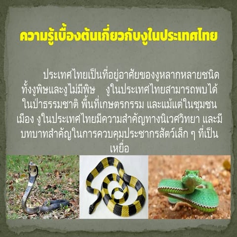 บรรยายหลักการใช้วิทยุสื่อสาร EMR 65.pdf