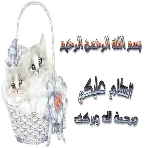 000000000000000000000001التعلم التعاونى.ppt