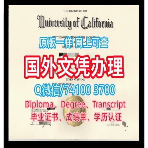 原版制作(新西兰WCAD毕业证书)怀特克利夫艺术设计学院毕业证毕业证书复印件原版仿制 | DOC