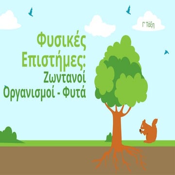 Φυτολόγιο 3: Δέντρα | PPTX