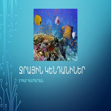 Ջրային կենդանիների մասին իմ գտած տեղեկությունները | PPT