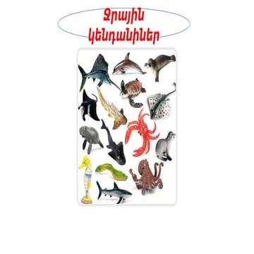 Ջրային կենդանիներ՝ձկներ, ծովաձի ․․․.pptx
