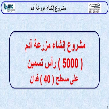 buffalos Farm Engineering Design for 40 feddan.pptx