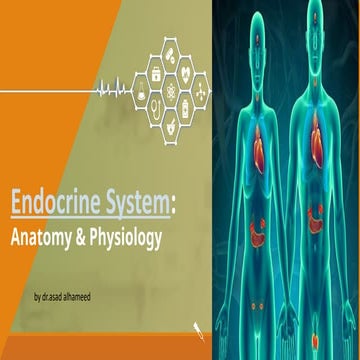 Endocrine glands | PPT