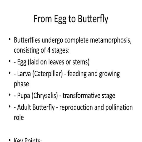 Random_Topics_Presentation even better.pptx