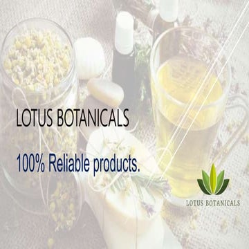 Lotus | PPTX