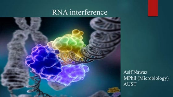 Rna interfernce ppt | PPT | Chemistry | Science