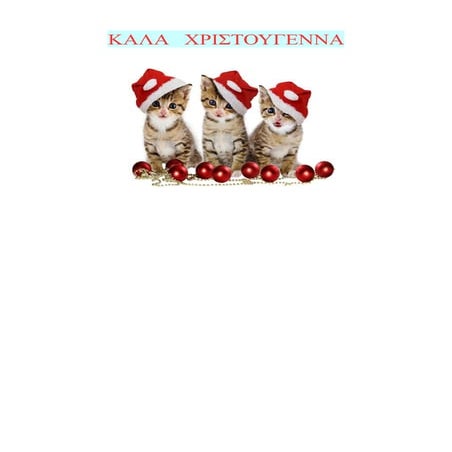 ΑΡΙΑΔΝΗ ΚΑΤΕΡΙΝΑ ΑΦΙΣΑ | ODT