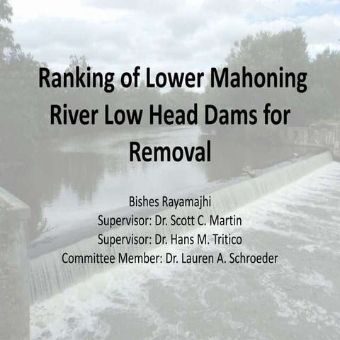Ranking mahoning river low head dams for removal | PPTX
