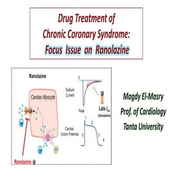 Drug Treatment of Chronic Coronary Syndrome: Focus Issue on Ranolazine ...