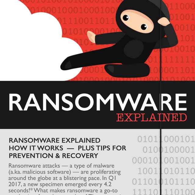 Ransomware Explained | PDF