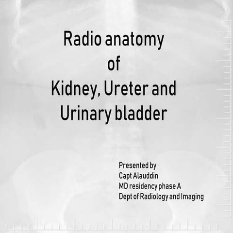 Radiological Anatomy of Kidney, uteter and urinary bladder.pptx | PPTX