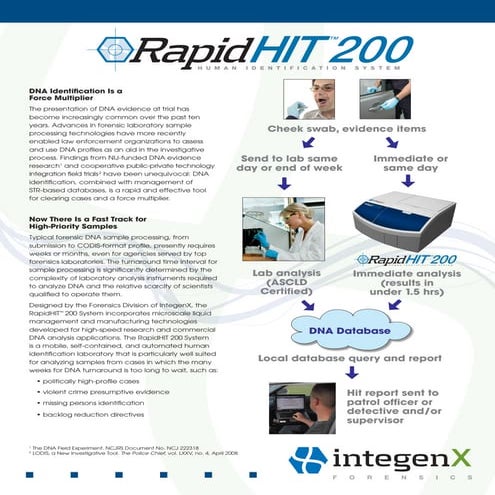 Rapid Hit Flyer | PDF
