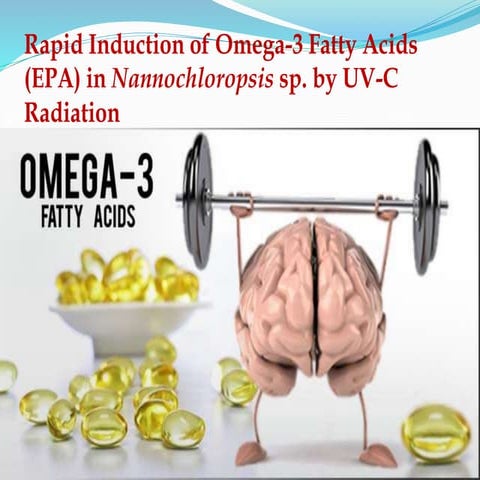 Rapid induction of omega fatty acids (epa) bashu | PPTX