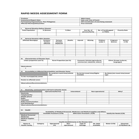 Step 1. Rapid Needs Assessment Form | DOC