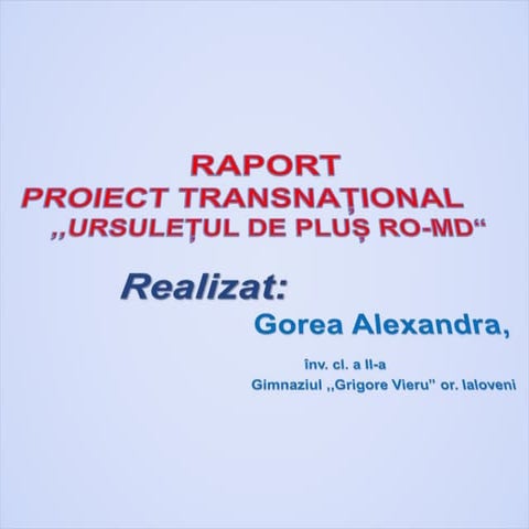 Raport informativ | PPTX
