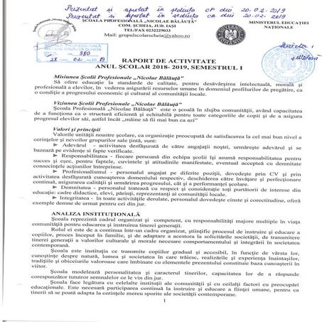 Raport de activitate, 2018 2019, semestrul i | PDF