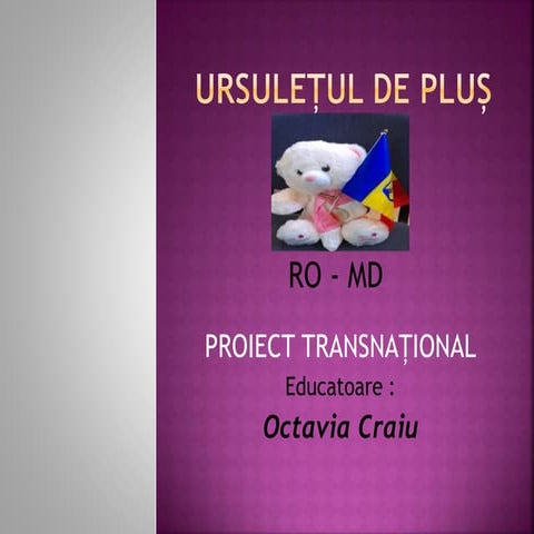 Raport proiect craiu octavia | PPSX