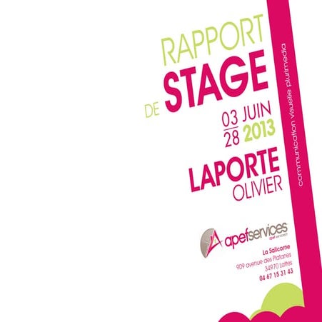 Rapport de Stage - Apef Services | PDF