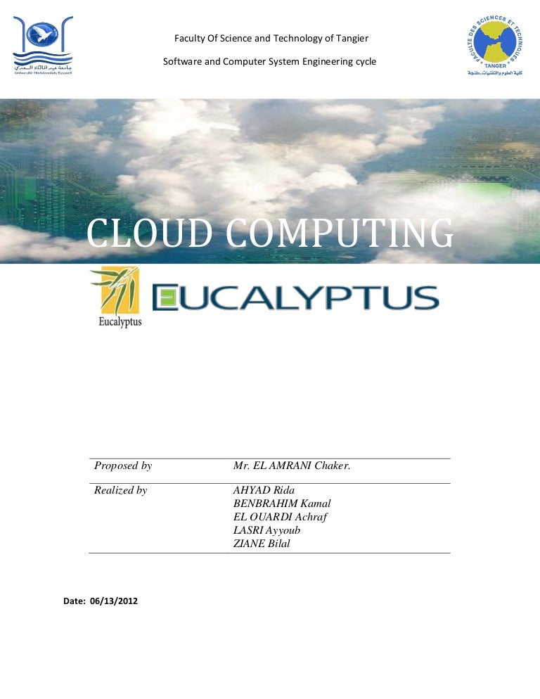 Rapport eucalyptus cloud computing