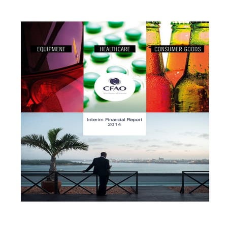 Ifc sustainability +framework | PDF