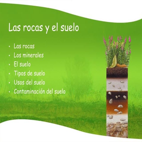 Tipos De Suelo Y Sus Capas EL SUELO, CAPAS Y TIPOS YouTube