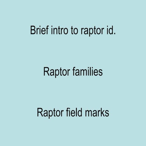 Raptor ID | PPT
