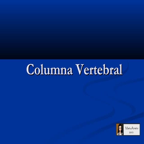 Anatomía Raquis | PPT