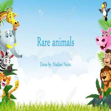 Rare animals | PPTX