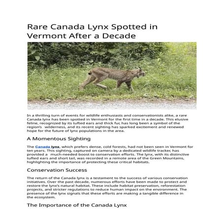 Rare Canada Lynx Spotted in Vermont After a Decade.pptx