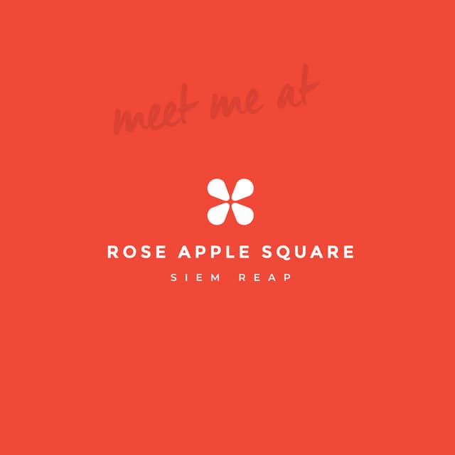 RAS Brochure PRINT mock up (1).pdf