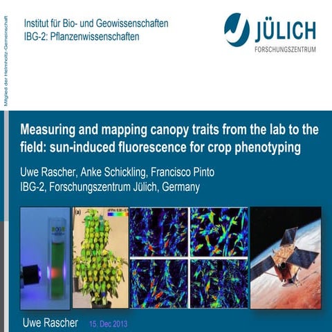 Measuring and mapping canopy traits from the lab to the field: sun ...