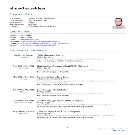 Rashed Cv | PDF
