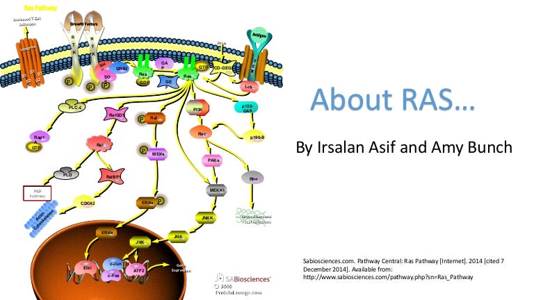 Ras presentation complete