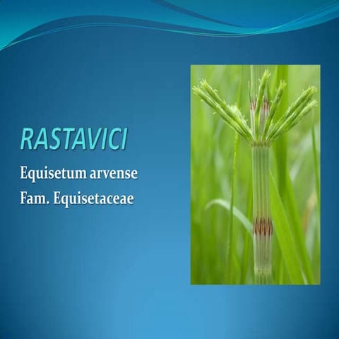 Rastavici | PPTX