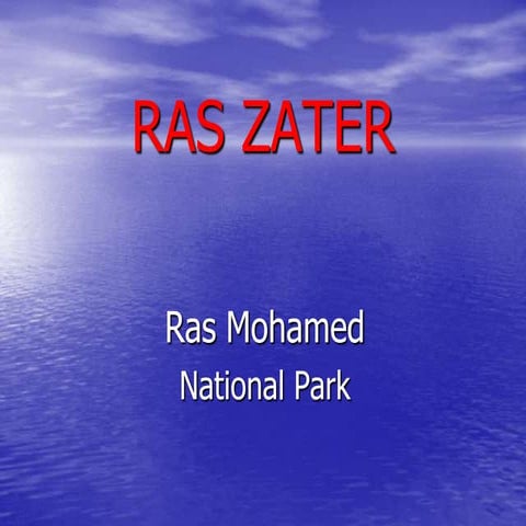 Ras zatar | PPT