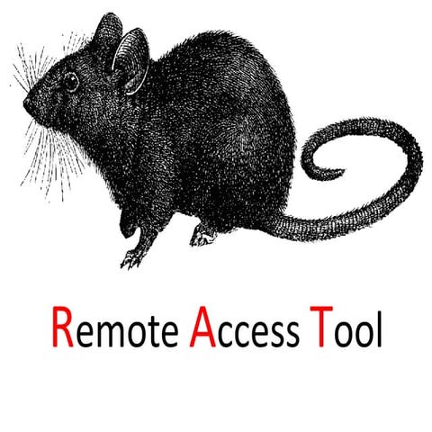 Rat | PPT