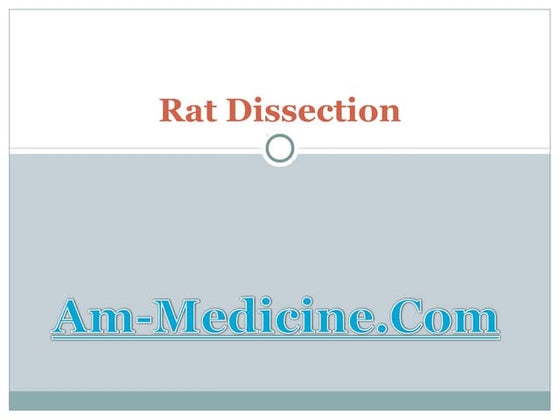 Rat dissection tripp | PPTX