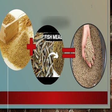 RATION FORMULATION- GRADE 9 ANIMAL PRODUCTION | PPTX