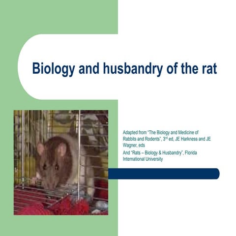 ratmodulenewreadytoload.ppt