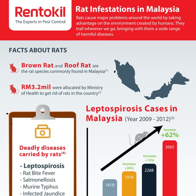 Rats Infestation in Malaysia | PDF