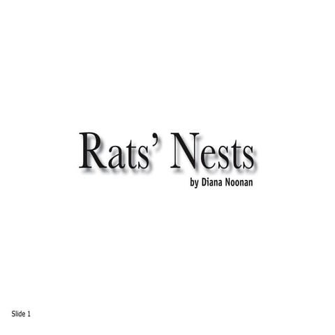 Rat's Nests reading questions | PPT