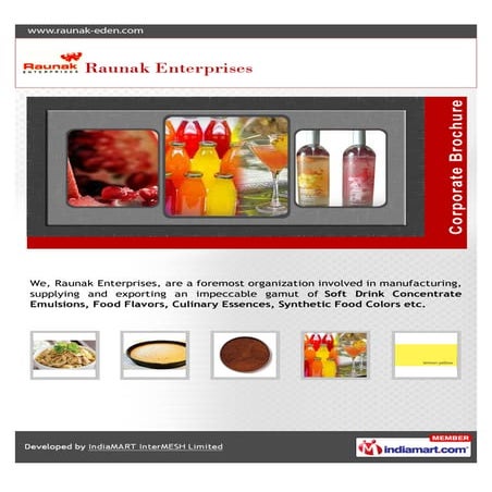 Raunak Enterprises, Mumbai, Food Flavor | PDF