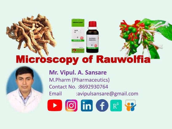 rauwolfia.ppt for pharmacognosy 5 th semester | PPTX